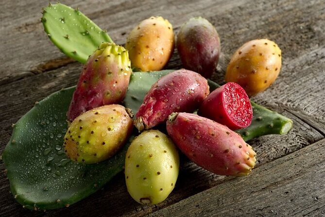 Guided Tasting of 15+ Tropical Fruits in Playa del Carmen - A Deep Dive into the Experience