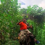 Guided Tour with Horseback Riding and Bioluminescence in Puerto Escondido - What’s Included and What to Keep in Mind