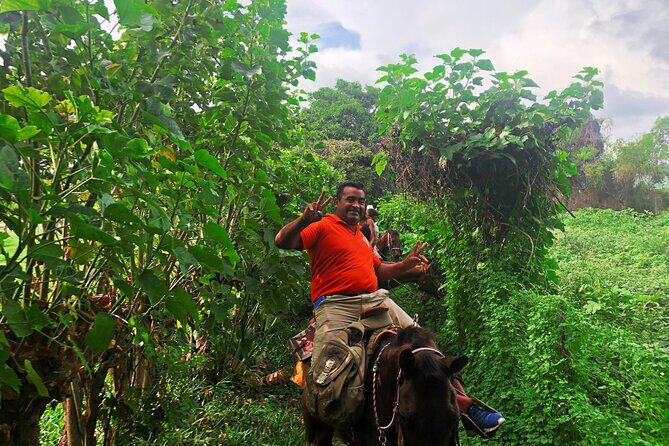 Guided Tour with Horseback Riding and Bioluminescence in Puerto Escondido - What’s Included and What to Keep in Mind