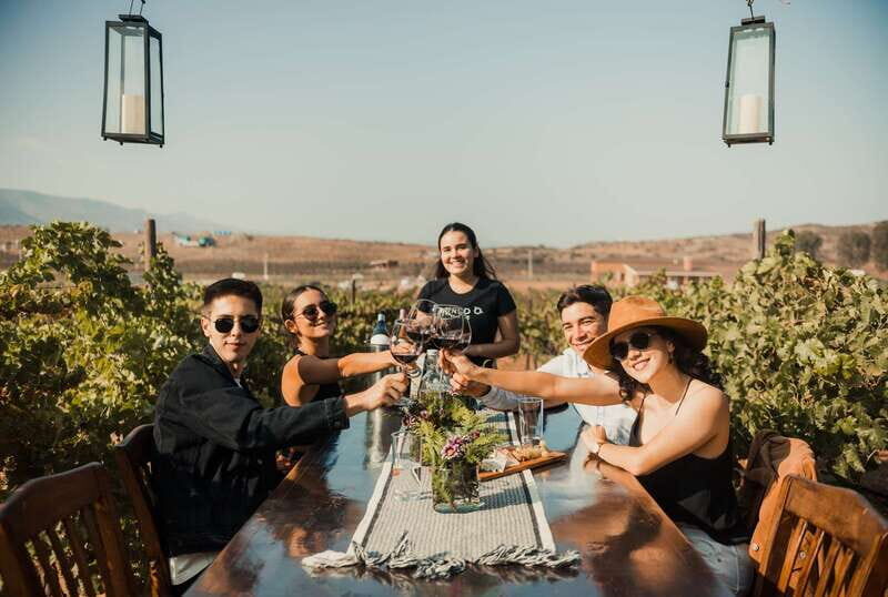Guided Vineyard Tour with Wine Tasting at Rondo del Valle - Who Will Enjoy This Tour?