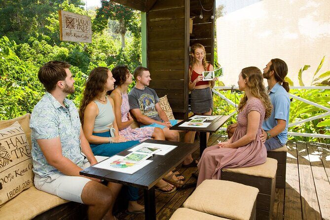 Hala Tree Coffee Farm Tour - Analyzing the Value