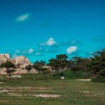 Half-Day Archeological Private Tour in San Miguel De Allende - The Value Proposition