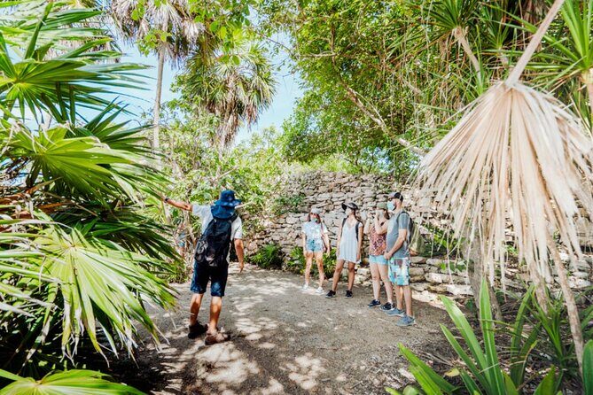 Half-Day Explore Tour of Tulum, Gran Cenote with Local Tacos - Analyzing the Value
