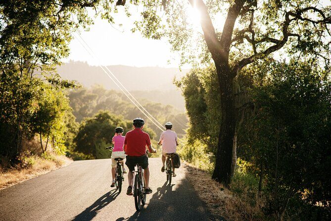 Half Day Guided Electric Bike Wine Tasting Tour with Lunch - Practical Details & Considerations