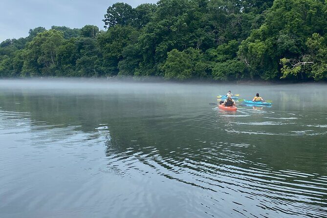 Half-Day Guided Kayaking in the Smoky Mountains of Tallassee - Wildlife and Scenic Highlights