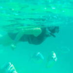 Half Day Guided Snorkel Tour in Los Cabos - The Itinerary: A Breakdown of the Day’s Highlights