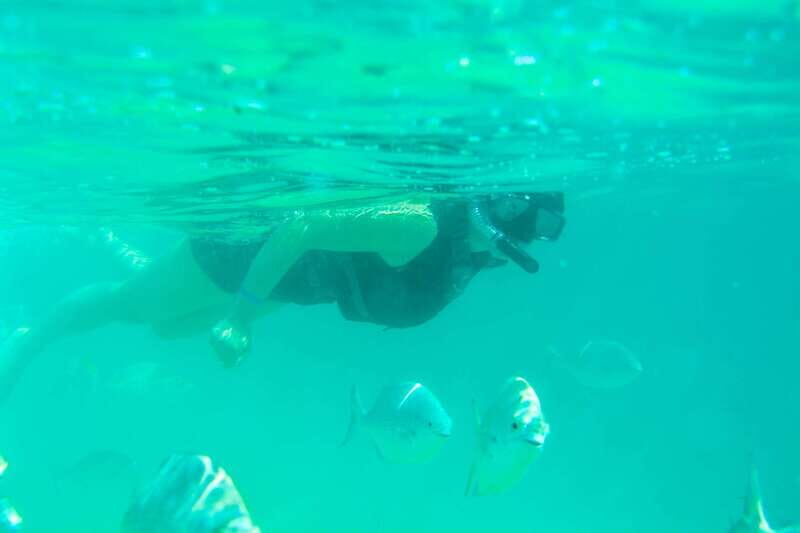 Half Day Guided Snorkel Tour in Los Cabos - The Itinerary: A Breakdown of the Day’s Highlights