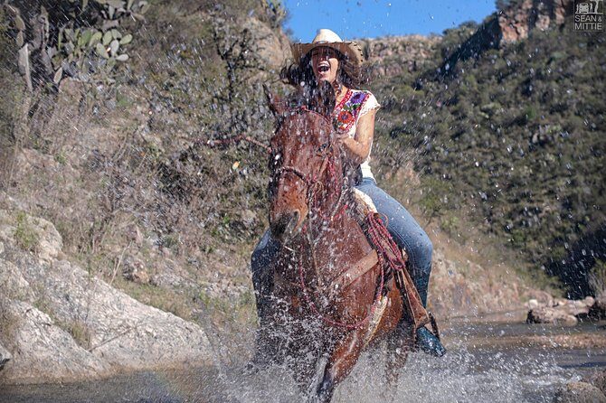 Half-Day Horseback Riding Adventure - What to Expect Along the Trail