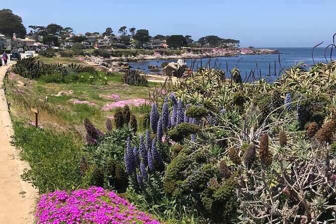 Half Day Monterey Peninsula Sightseeing Tour - Authentic Traveler Feedback