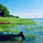 Half-Day Orleans Island Small-Group Sea Kayaking Tour - The Sum Up