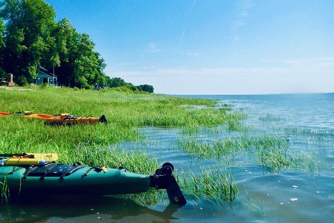 Half-Day Orleans Island Small-Group Sea Kayaking Tour - The Sum Up