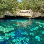 Half Day Private Snorkeling with Turtles and Majestic Cenotes - A Deep Dive into the Tour: What to Expect and Why It Matters