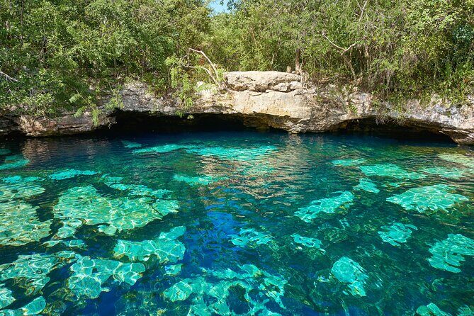 Half Day Private Snorkeling with Turtles and Majestic Cenotes - A Deep Dive into the Tour: What to Expect and Why It Matters