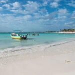 Half-Day Sea Turtle and Cenote Snorkeling Tour from Cancun & Riviera Maya - Why Choose This Tour?
