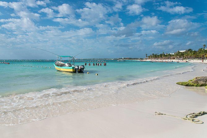 Half-Day Sea Turtle and Cenote Snorkeling Tour from Cancun & Riviera Maya - Why Choose This Tour?
