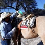 Half Day Trail Riding in San Miguel de Allende - Why This Trail Ride Works