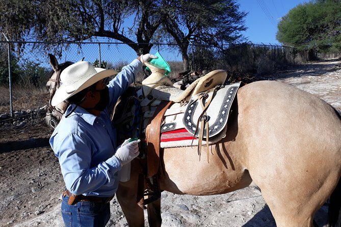 Half Day Trail Riding in San Miguel de Allende - Why This Trail Ride Works