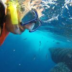 Half Day Whale Shark Tour From Playa del Carmen - What to Expect at Each Stop