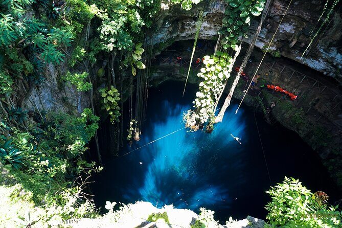 Half-Day Yucatan's Instagram Cenotes PRIVATE TOUR - Introduction: What to Expect from This Tour