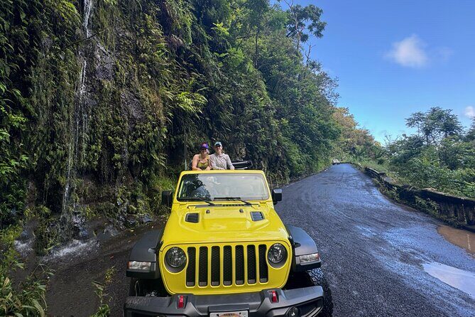 Half way to Hana Maui Open Air Jeep Private Tour - Introduction: Why Consider This Tour?