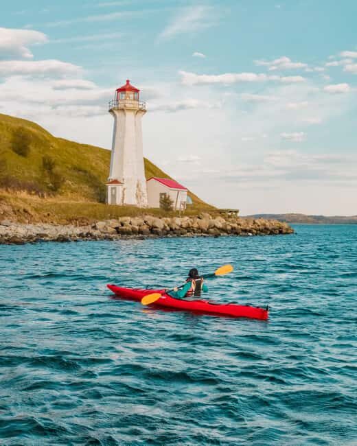 Halifax: Guided Kayak Tour with Multiple Options - What to Expect During Your Tour