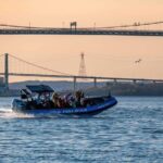 Halifax Harbour Historical & Wildlife High-Speed Tour - Value and Practicalities