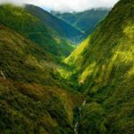 Hamakua Coast Waterfalls and Valleys Safari - What Makes This Tour Special?
