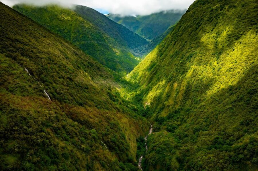 Hamakua Coast Waterfalls and Valleys Safari - What Makes This Tour Special?