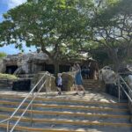 Hanauma Bay Snorkel Lesson - What to Expect from the Tour