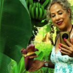 Hands-on Mexican Farm Experience: from Cow to Cheese - Detailed Breakdown of the Experience