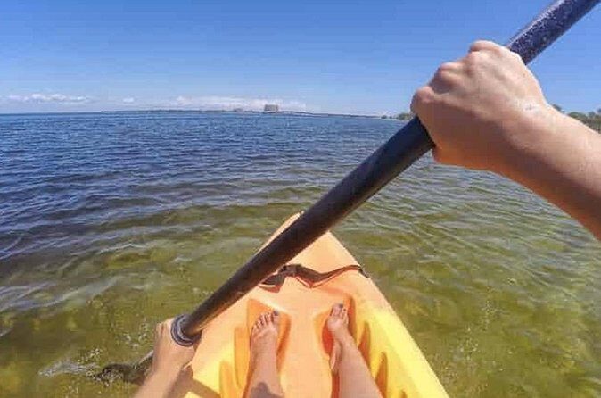 Harbor Kayak Rental in Destin, Florida - Who Will Love This Experience?