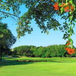 Hard Rock Golf Club - Who Should Consider This Tour?
