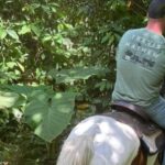 Harmony Horse Riding of Miami - What to Expect at Harmony Horse Riding of Miami