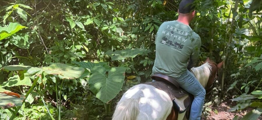 Harmony Horse Riding of Miami - What to Expect at Harmony Horse Riding of Miami