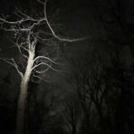 Haunted Mountain Ghost Walking Tour - Why This Tour Offers Good Value