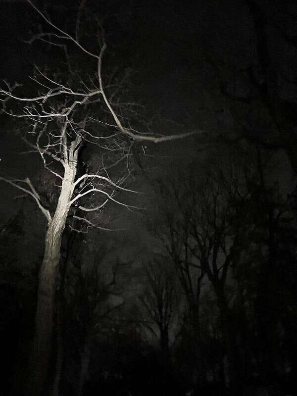 Haunted Mountain Ghost Walking Tour - Why This Tour Offers Good Value