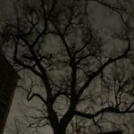 Haunted Village of New York City walking tour - What To Expect: A Mix of History, Atmosphere, and Mystery