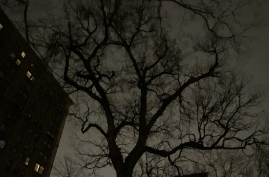 Haunted Village of New York City walking tour - What To Expect: A Mix of History, Atmosphere, and Mystery