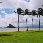 Hawaii Circle Island Tour - What’s the Value?
