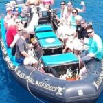 Hawai'i: Private Snorkeling Tour with Lunch and Drinks - An In-Depth Look at the Private Snorkeling Tour