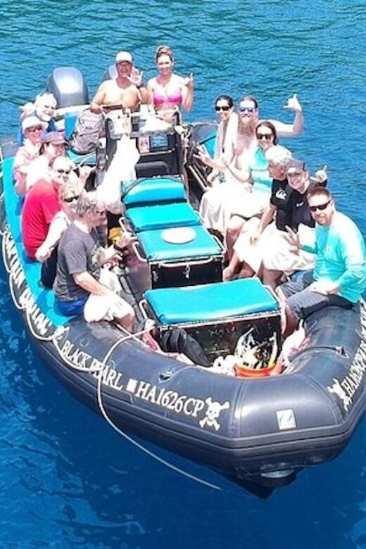 Hawai'i: Private Snorkeling Tour with Lunch and Drinks - An In-Depth Look at the Private Snorkeling Tour