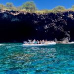 Hawaii: Pu'uhonua O Honaunau & Kealakekua Bay Snorkel Tour - Marine Life and Reef Conditions