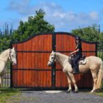 Hawaii: Small Group Rainforest Trail Ride - Authentic and Well-Reviewed