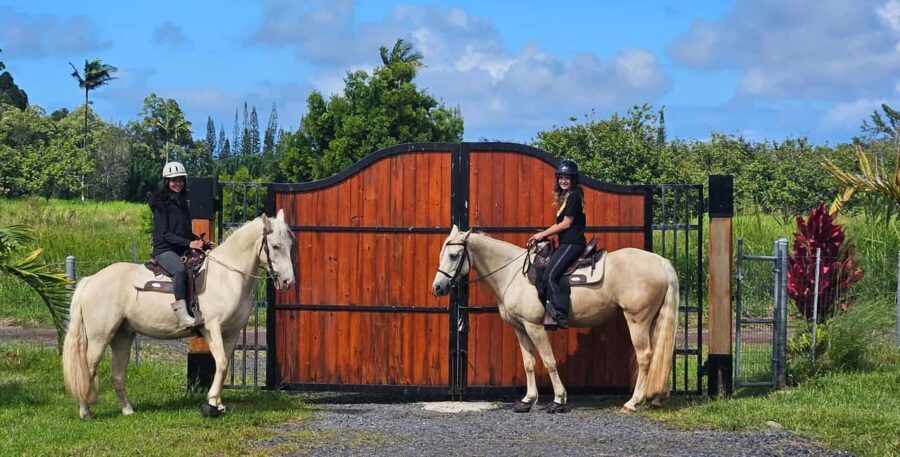 Hawaii: Small Group Rainforest Trail Ride - Authentic and Well-Reviewed