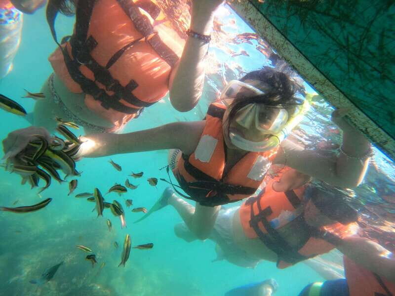 Hermosa Isla de ixtapa - A Deep Dive into the Itinerary and Experience