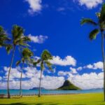 Hidden Gems of Oahu Circle Island Tour with Byodo-In Temple - The Value Proposition