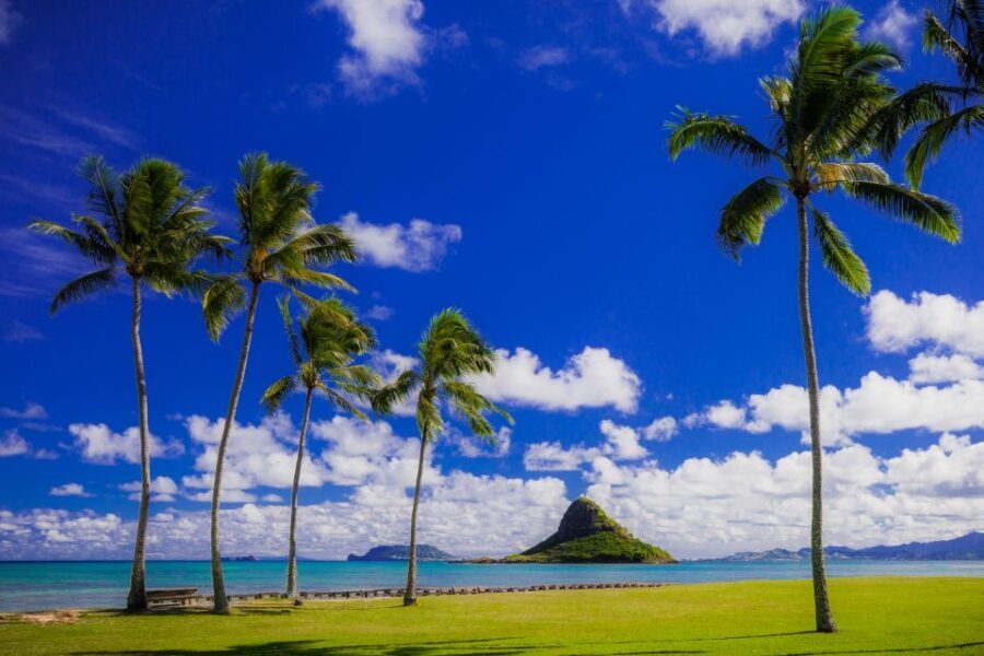 Hidden Gems of Oahu Circle Island Tour with Byodo-In Temple - The Value Proposition