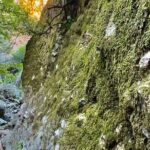 Hidden Grotto Waterfall eMTB & Hiking Adventure Malibu (Beginner) - Detailed Breakdown of the Itinerary