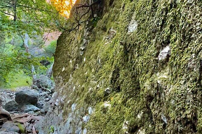 Hidden Grotto Waterfall eMTB & Hiking Adventure Malibu (Beginner) - Detailed Breakdown of the Itinerary