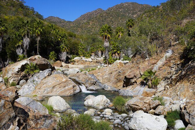 Hidden Waterfalls Hiking Adventure - Real Experiences from Travelers